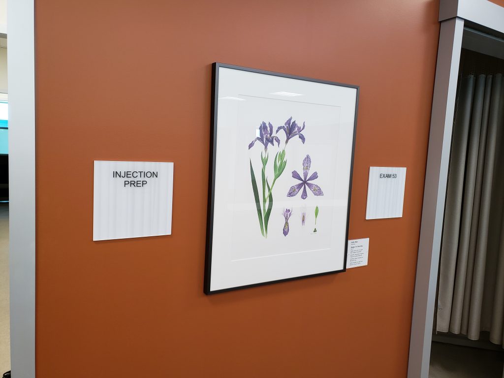 Montage - Santa Cruz Signs